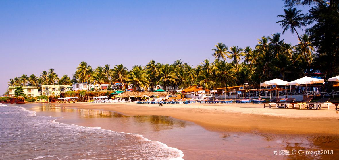 Things to do in Mandrem (2025): Top nearby activities,popular ...