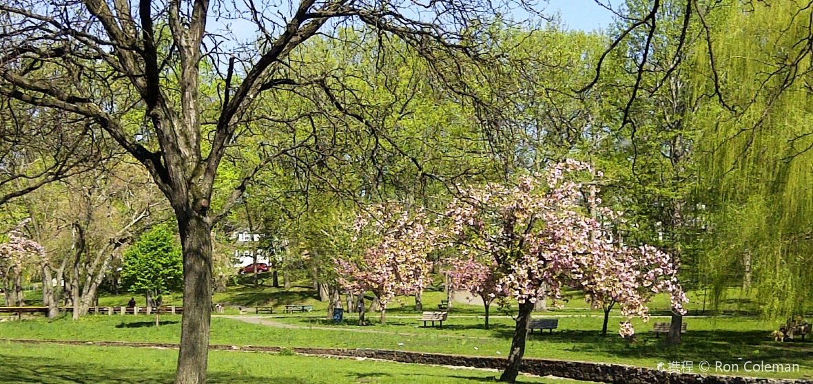Parsippany Travel Guide 2026: Top Attractions, Things to Do & Deals ...