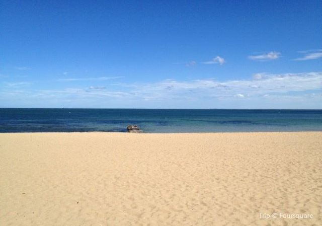 Surfing in Melbourne: Top 10 Beaches to Start Your Adventure Outdoors ...