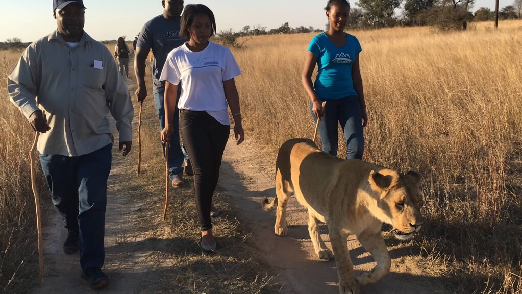 Gweru 2023 Top Things to Do - Gweru Travel Guides - Top Recommended ...