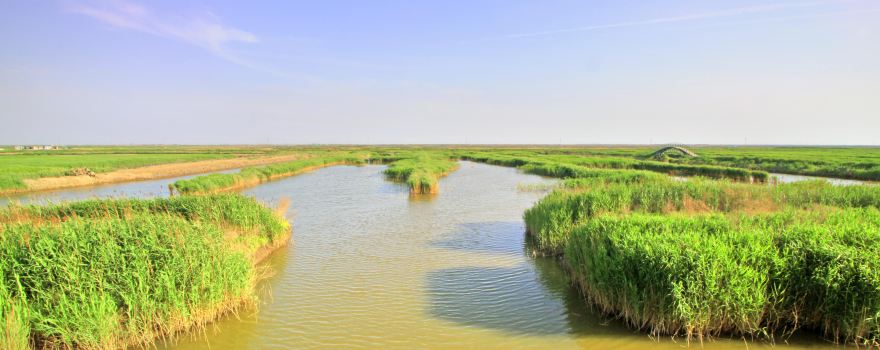 Caofeidian District independent travel guide (2025): top things to do ...