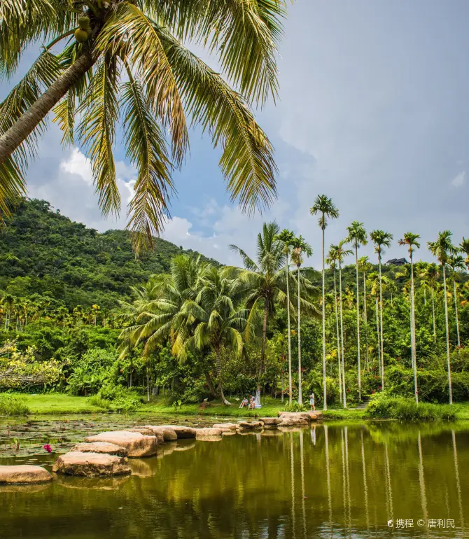 Hainan Independent Travel Guide (2025): Top Things to Do, Popular ...