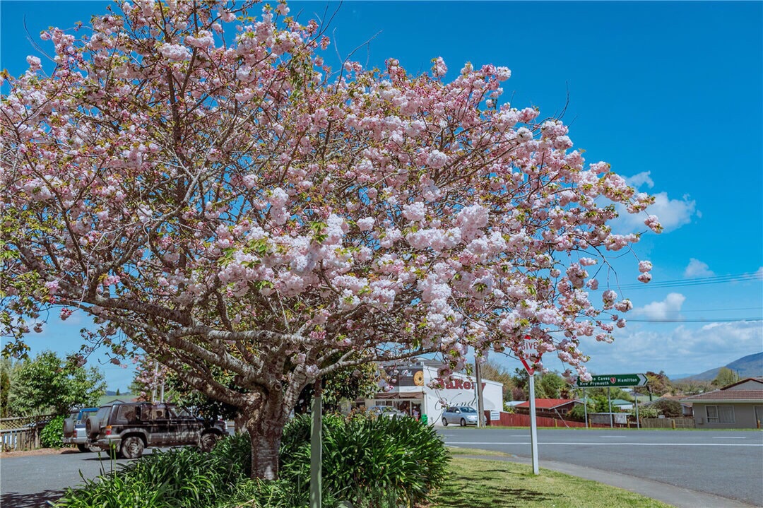 Tapapa Travel Guide 2023 - Things to Do, What To Eat & Tips | Trip.com