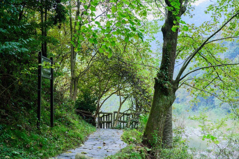 Longnan 2022 Top Things to Do - Longnan Travel Guides - Top Recommended ...