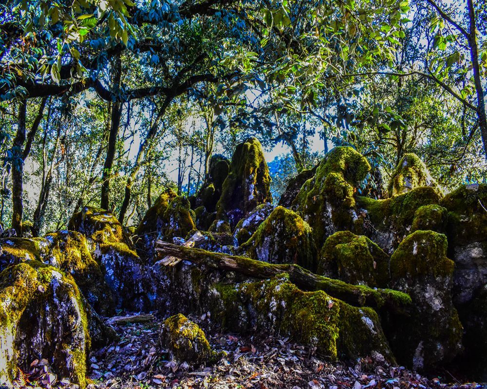 Panzhihua 2023 Top Things to Do - Panzhihua Travel Guides - Top ...