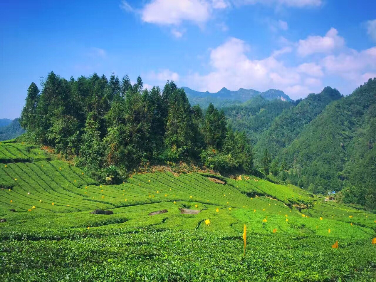 Lichuan Travel Guide 2023 - Things to Do, What To Eat & Tips | Trip.com