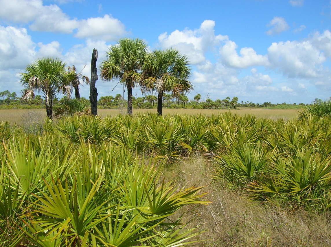 Los 10 mejores hoteles cerca de Downtown Aquarium en Condado de Harris ...