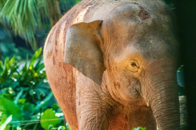 Everything you need to know about Miami zoo travel notes and guides ...