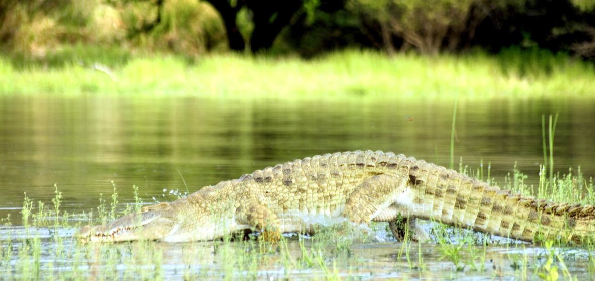 Liwale Travel Guide 2025: Top Attractions, Things to Do & Deals | Trip ...