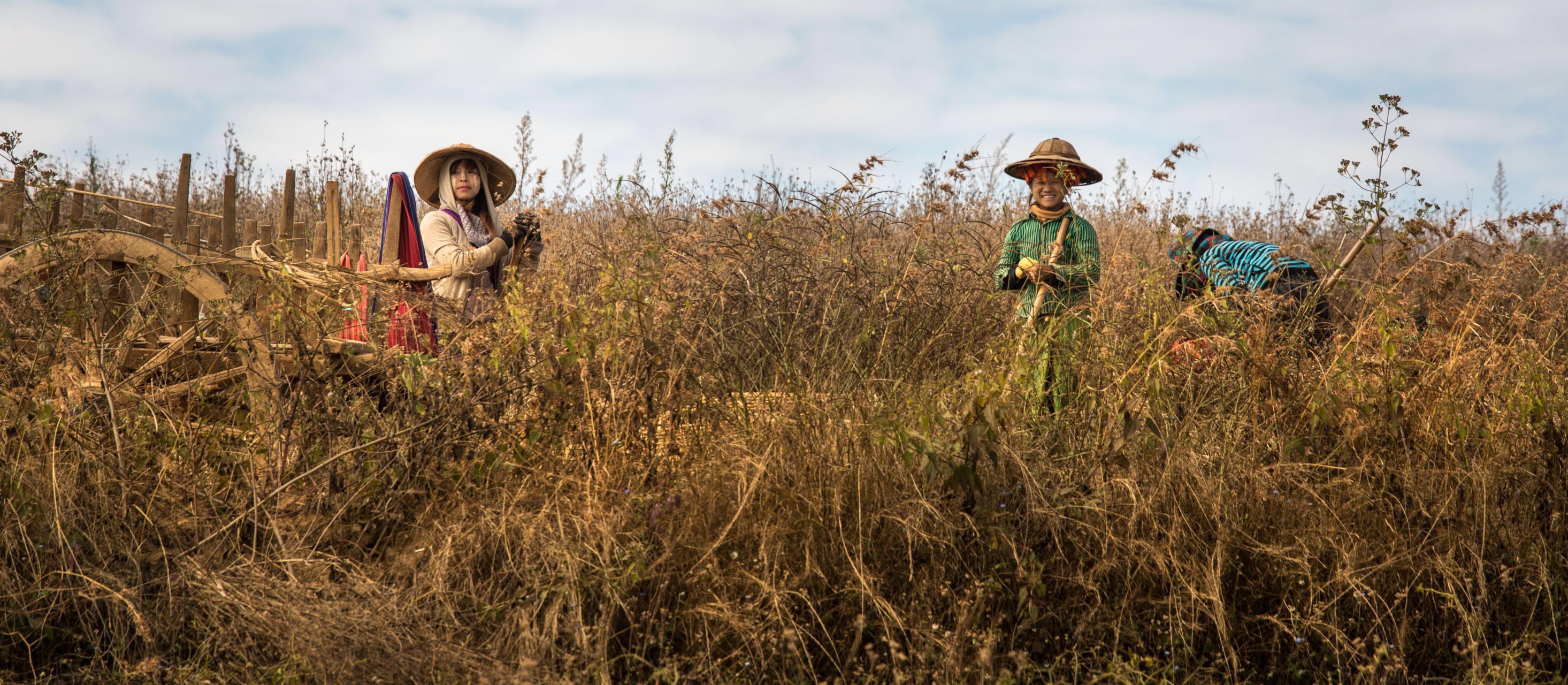 Shan Travel Guide 2023 - Things to Do, What To Eat & Tips | Trip.com