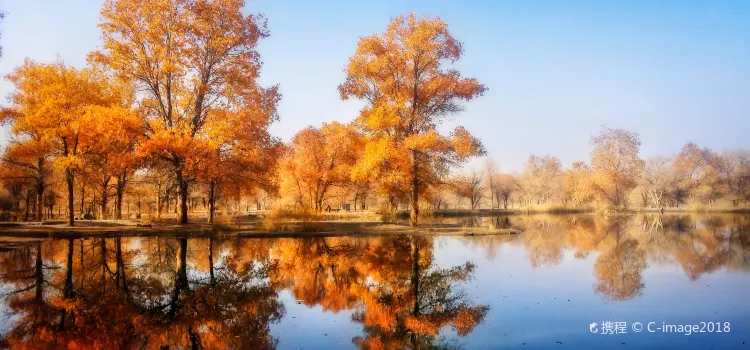 China’s 10 Most Beautiful Pristine Forests - Trip.com