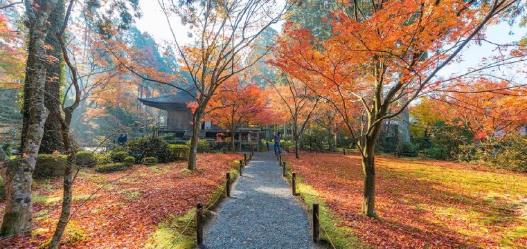 Sakyo Ward Travel Guide 2026: Top Attractions, Things to Do & Deals ...