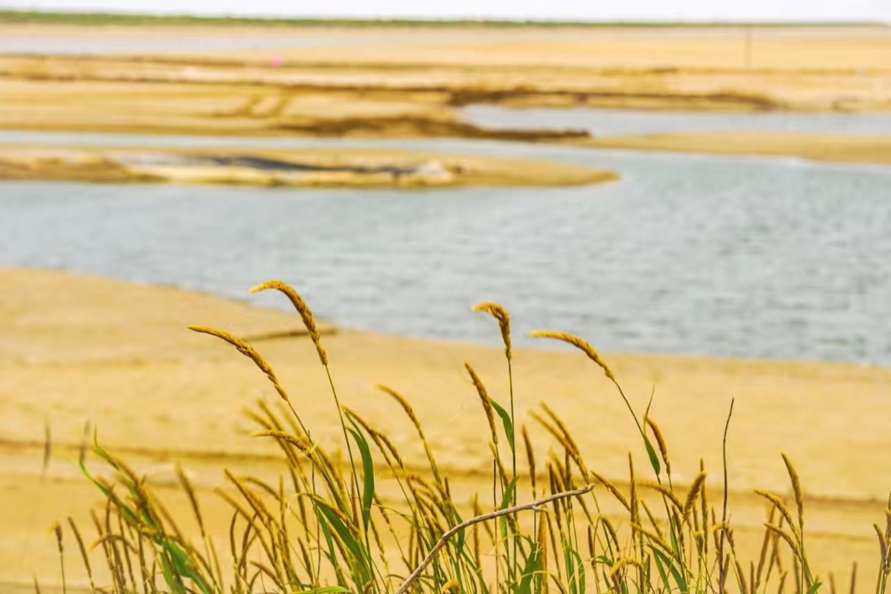 Yancheng Travel Guide 2023 - Things to Do, What To Eat & Tips | Trip.com