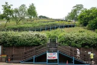 10 Most Family-Friendly Attractions in Seoul travel notes and guides ...