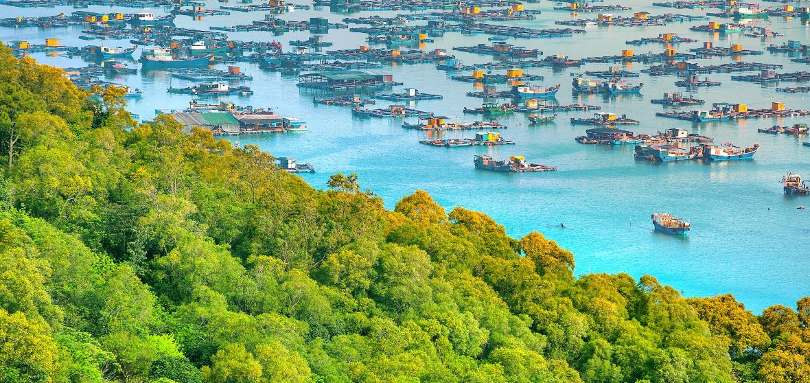 Things to Do in Jiangcheng District in 2025 - Top Attractions, Local ...