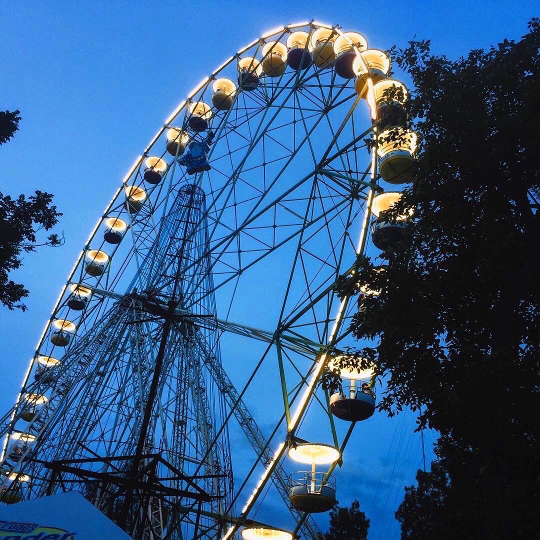 Things to Do in Santa Rosa in 2024 - Top Attractions, Local Food ...