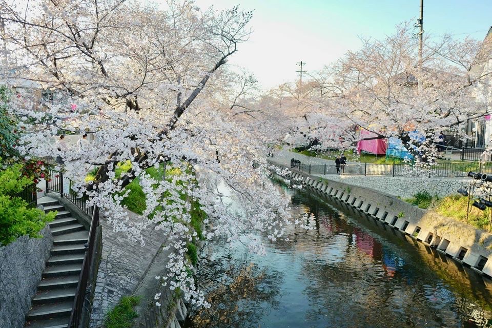Tajimi Travel Guide 2023 - Things to Do, What To Eat & Tips | Trip.com