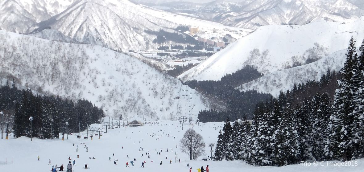 Things to Do in Niigata Prefecture in 2024 - Top Attractions, Local ...