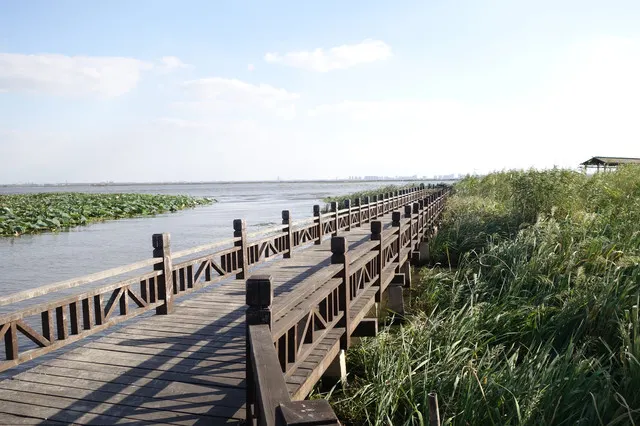 It’s Just About Hairy Crabs?Welcome to Yangcheng Lake — Suzhou's Top ...