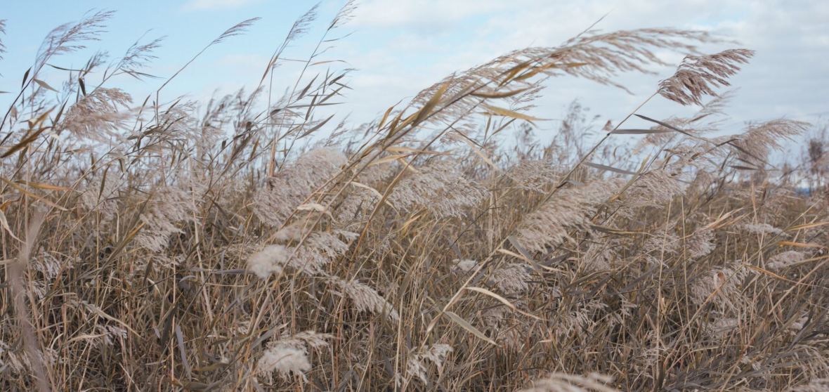 Things to do in Qidong Lvsi Port Scenic Area (2025): Top nearby ...