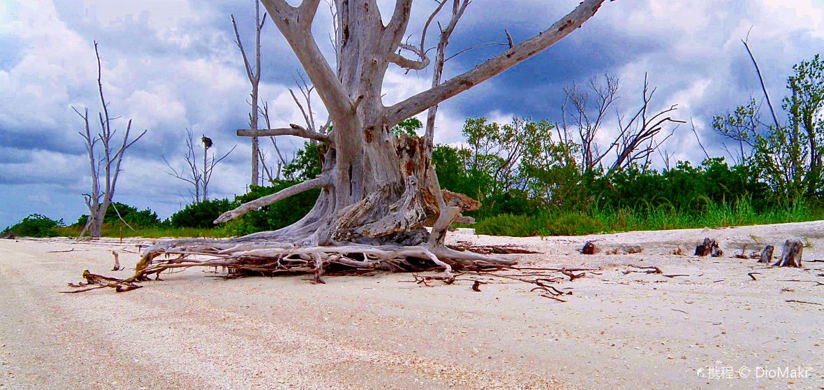 เที่ยวBaldwin County (2024) - ที่เที่ยวใน Baldwin County, กิจกรรมสนุกๆ ...