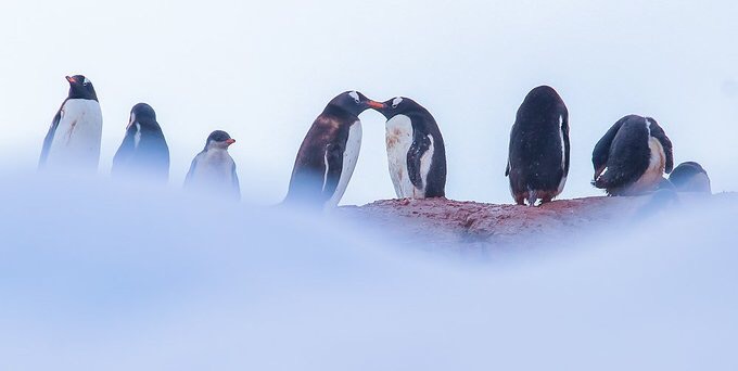 XII Region of Magallanes and Chilean Antarctica 2022 Top Things to Do ...