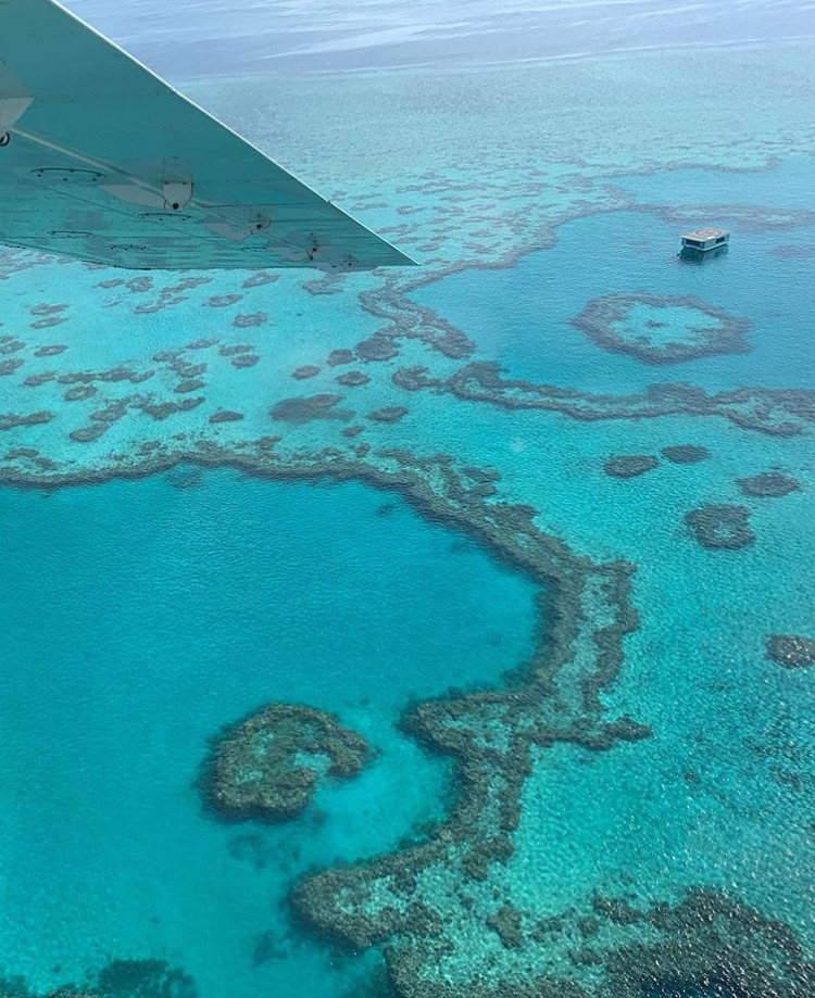 Great Barrier Reef Travel Guide 2023 - Things to Do, What To Eat & Tips ...