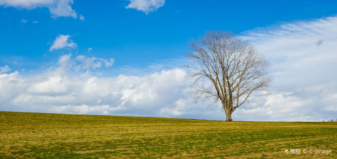 Biei Independent Travel Guide (2025): Top Things to Do Near You ...