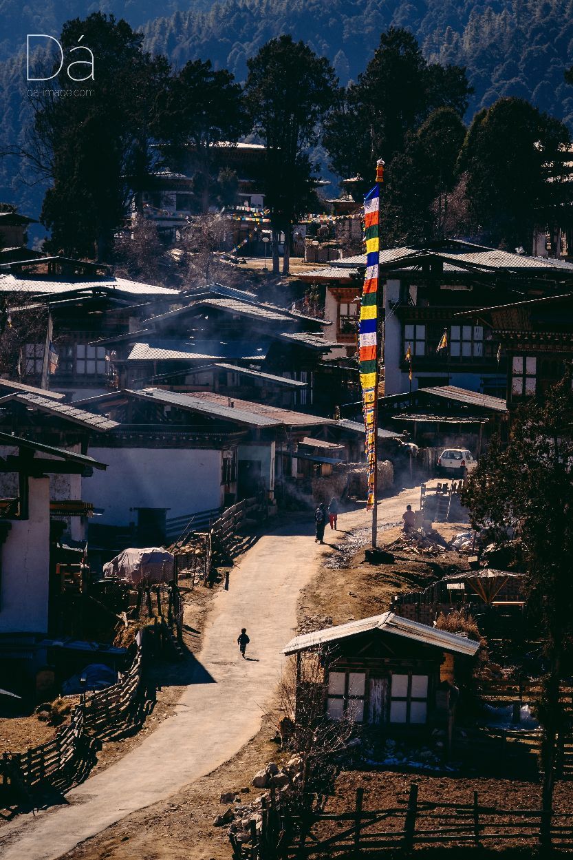 Wangdi Phodrang 2023 Top Things to Do - Wangdi Phodrang Travel Guides ...