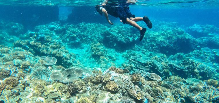 Things to do in Dauin (2025): Top nearby activities,popular attractions ...