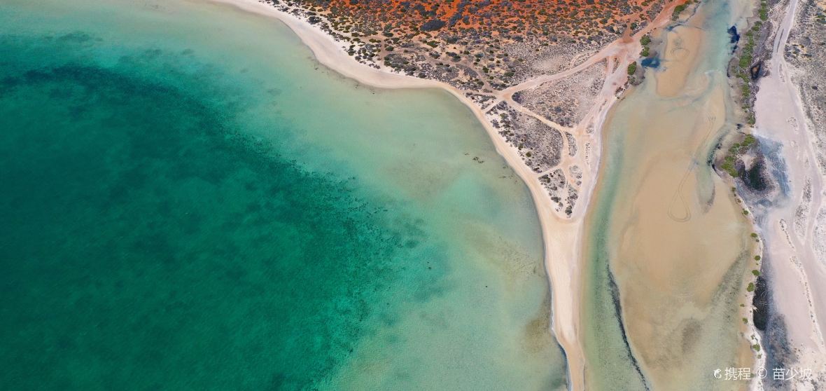 Monkey Mia Travel Guide 2025: Top Attractions, Things to Do & Deals ...