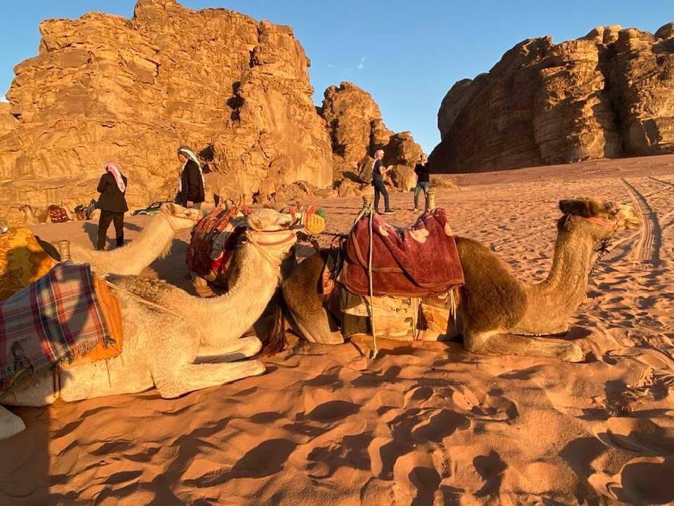 Sun City Travel Guide 2023 - Things to Do, What To Eat & Tips | Trip.com