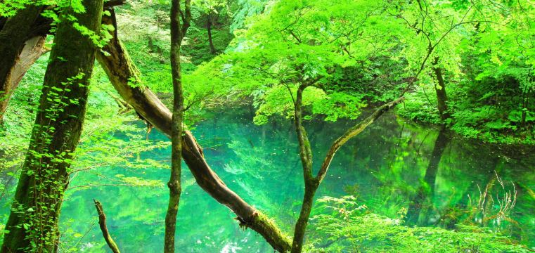 Fukaura Travel Guide 2024 - Things to Do, What To Eat & Tips | Trip.com