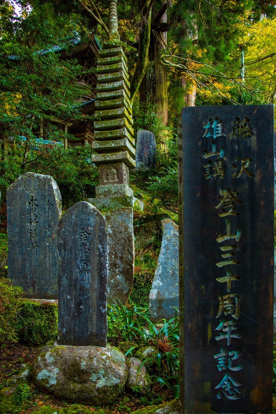 Things to Do in Minamiashigara in 2024 - Top Attractions, Local Food ...