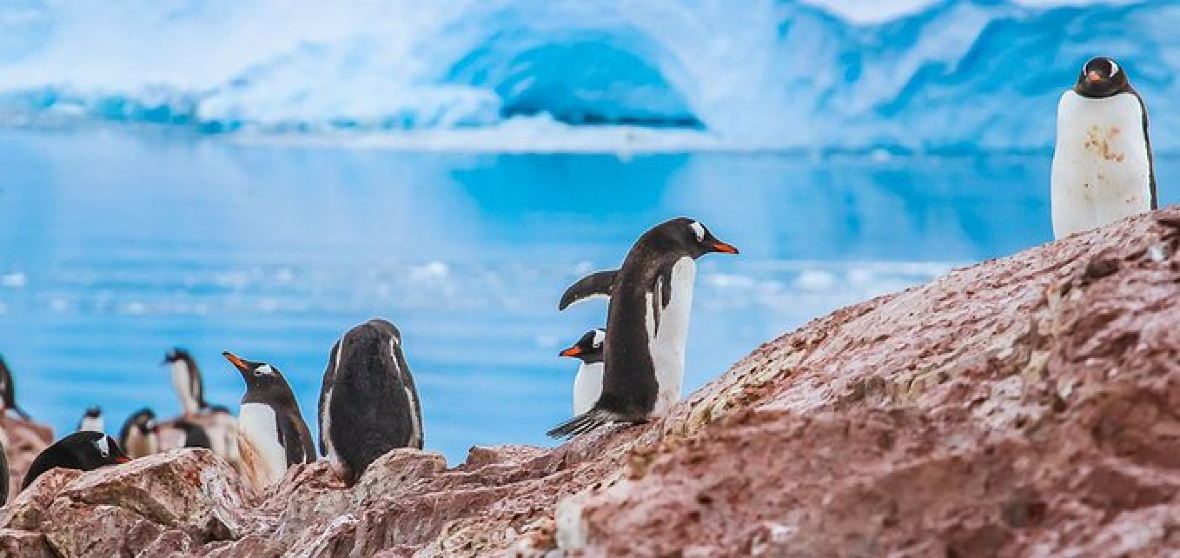 Things to Do in XII Region of Magallanes and Chilean Antarctica in 2025 ...