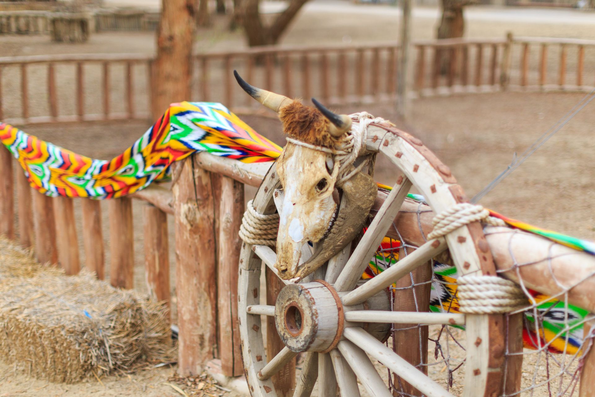 Yuli Travel Guide 2023 - Things to Do, What To Eat & Tips | Trip.com