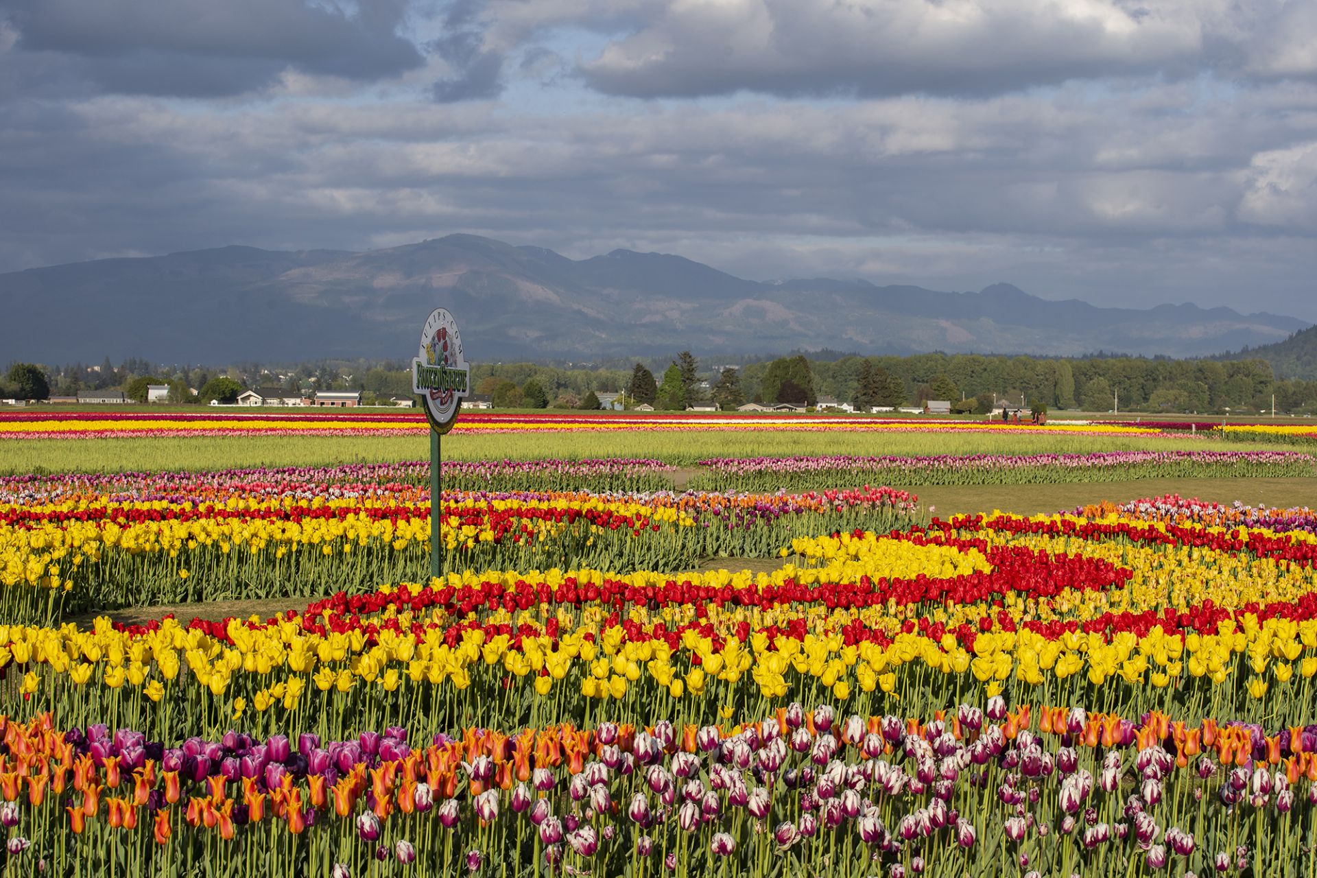 Skagit County 2023 Top Things to Do - Skagit County Travel Guides - Top ...