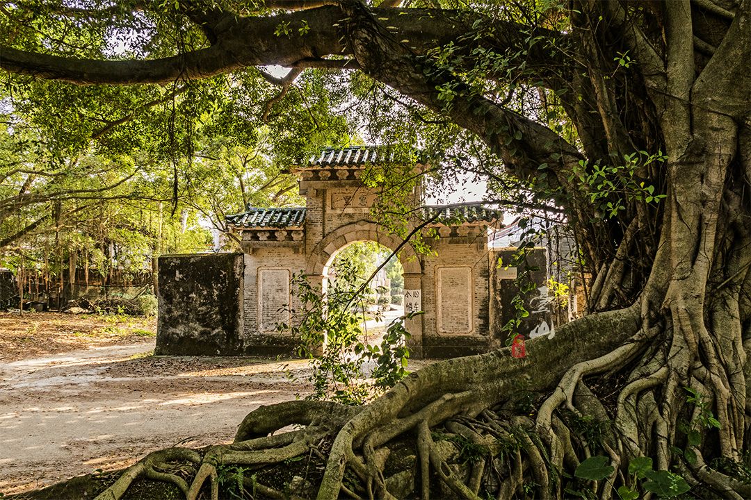 Taishan Travel Guide 2023 - Things to Do, What To Eat & Tips | Trip.com