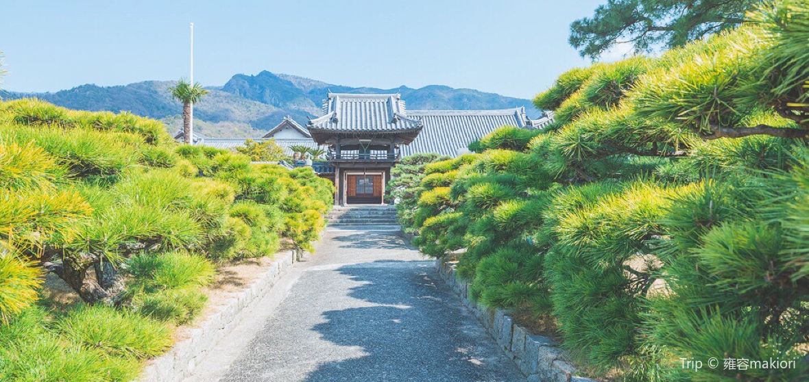 Shodoshima Travel Guide 2023 - Things to Do, What To Eat & Tips | Trip.com