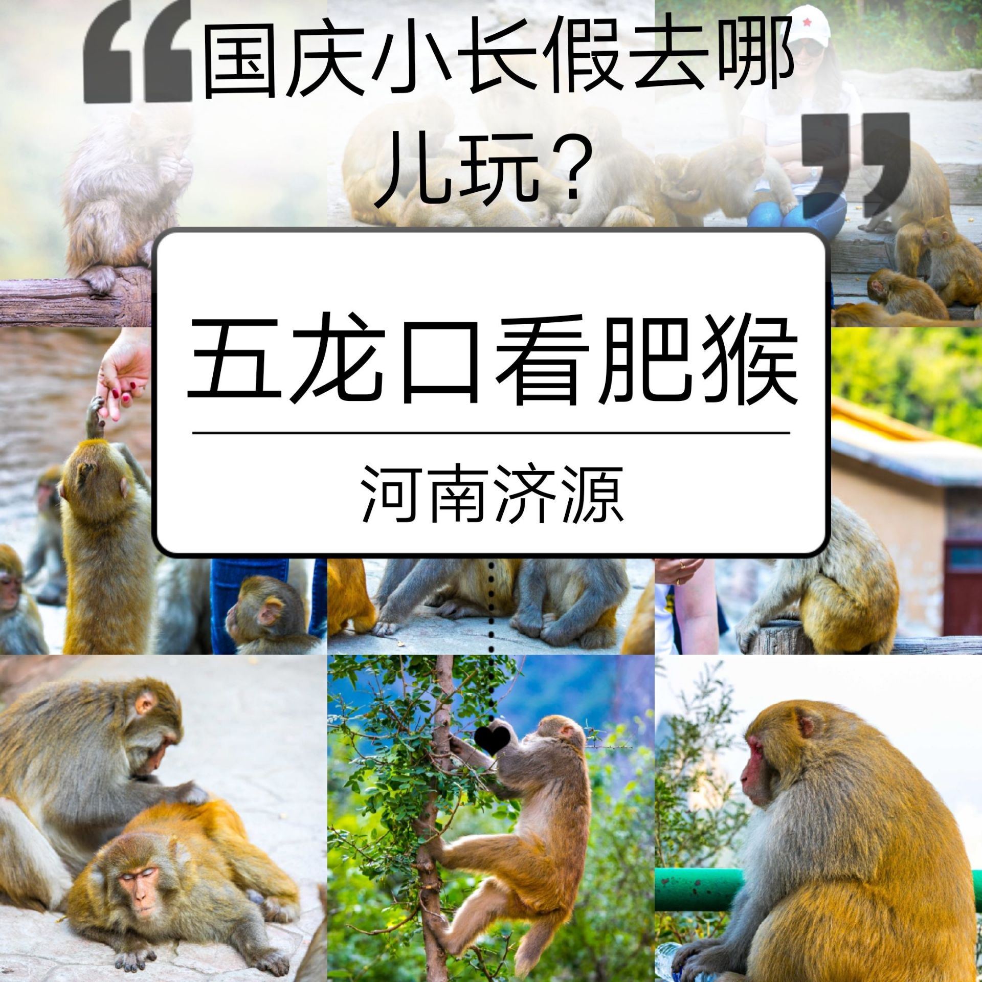 Jincheng 2023 Top Things to Do - Jincheng Travel Guides - Top ...