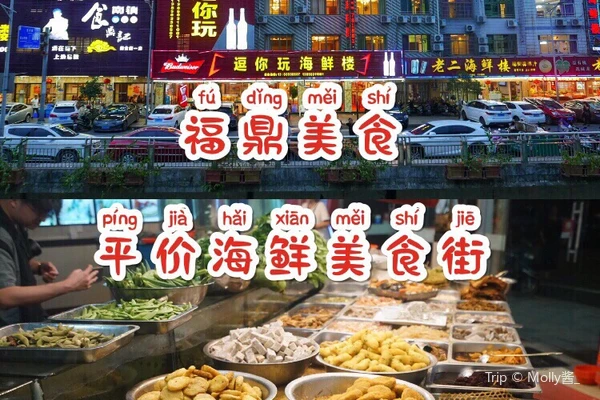 | Trip.com Fuding Travelogues