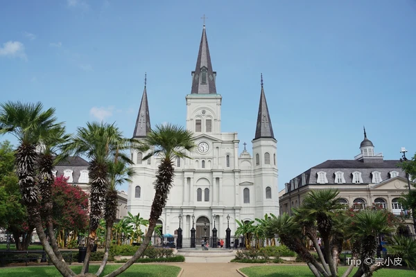 | Trip.com New Orleans Travelogues
