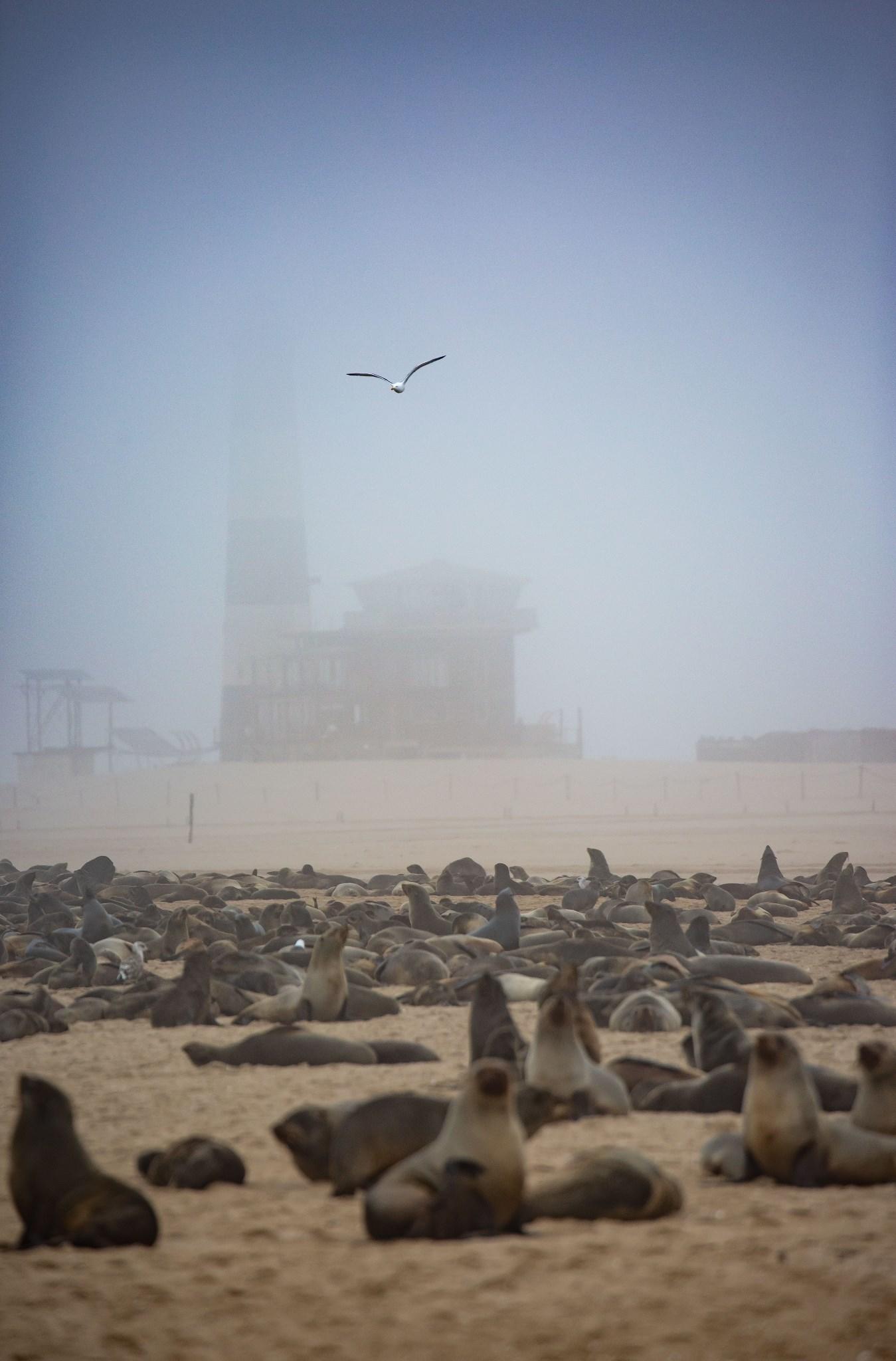 Walvis Bay Travel Guide 2023 - Things to Do, What To Eat & Tips | Trip.com