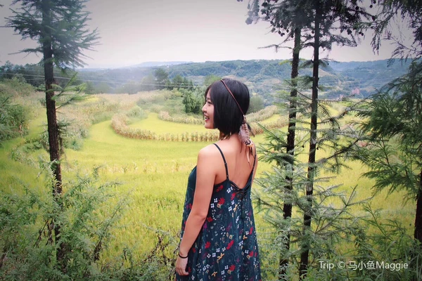 | Trip.com Enshi Prefecture Travelogues