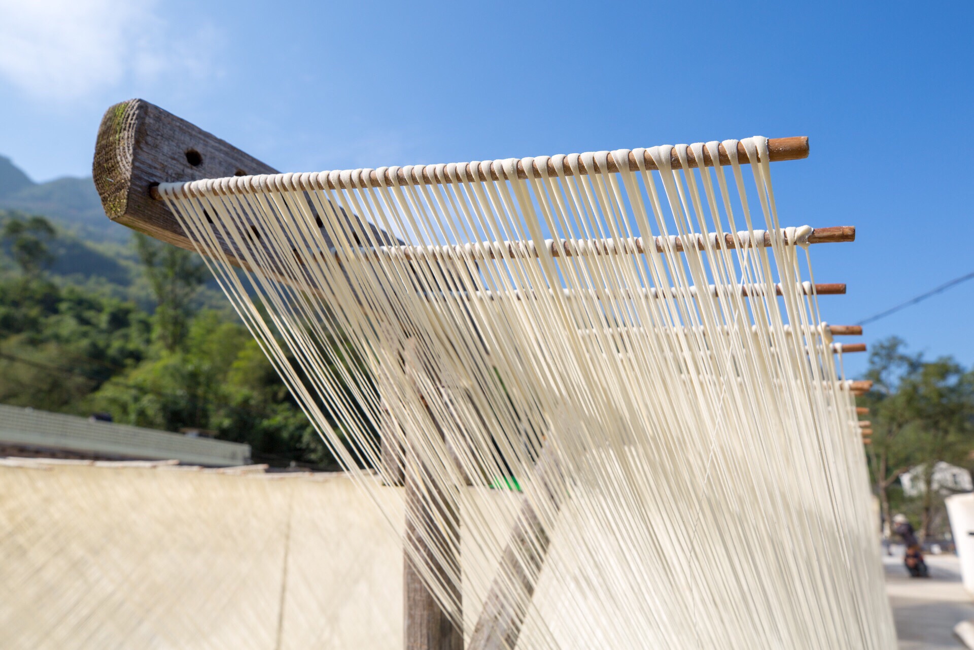 Pingyang Travel Guide 2023 - Things to Do, What To Eat & Tips | Trip.com