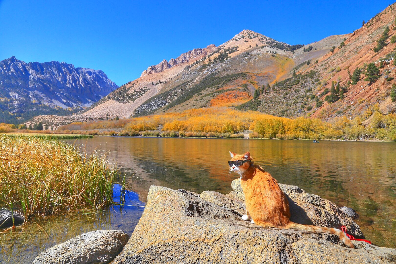 Inyo County Travel Guide 2023 - Things to Do, What To Eat & Tips | Trip.com