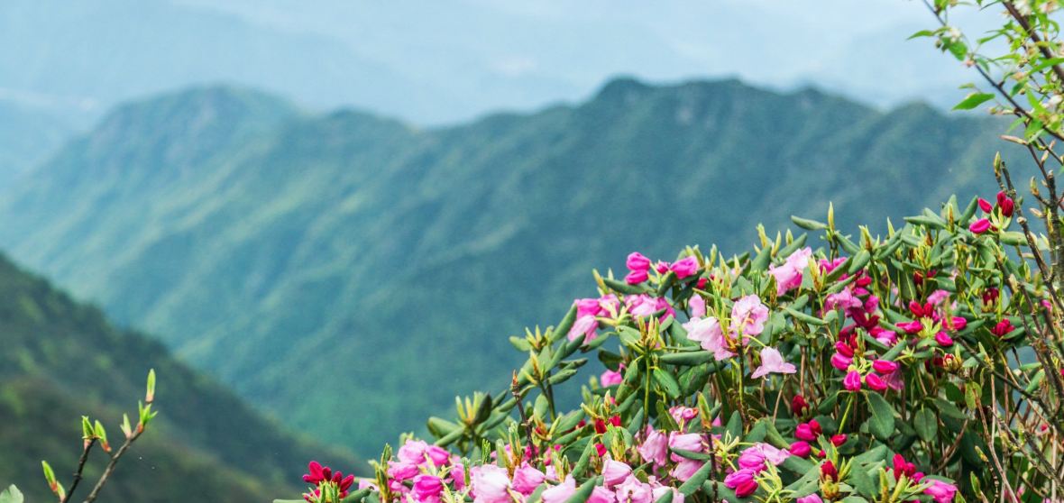 Downtown of Jiangkou個人旅行ガイド（2025年年）：おすすめの周辺アクティビティ、人気観光スポット、旅程の計画、宿泊施設 ...