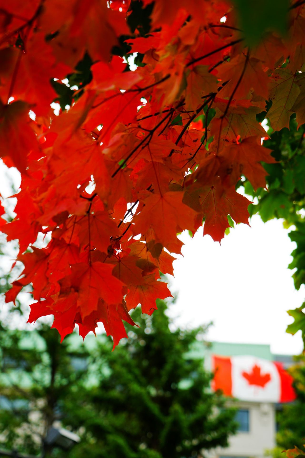 Frontenac County 2022 Top Things to Do - Frontenac County Travel Guides ...