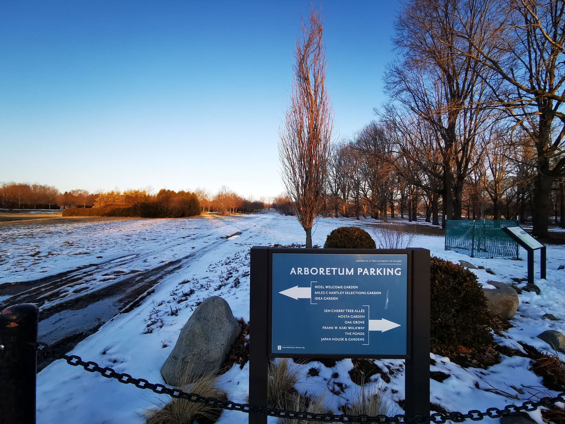 Are Dogs Allowed At The University Of Illinois Arboretum