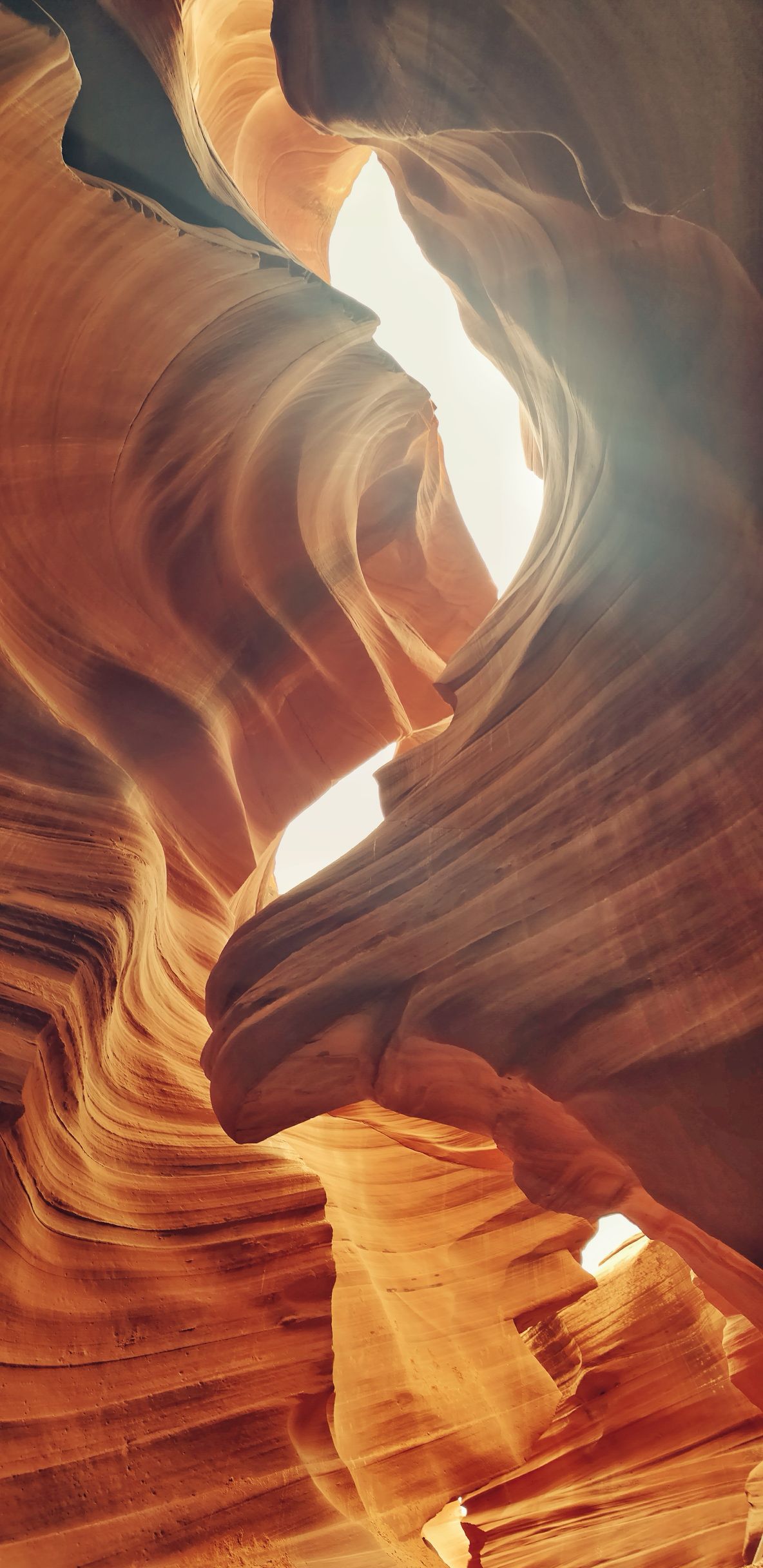 LeChee 2022 Top Things to Do - LeChee Travel Guides - Top Recommended ...